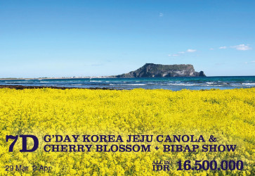 Home | Avia Tour & Travel