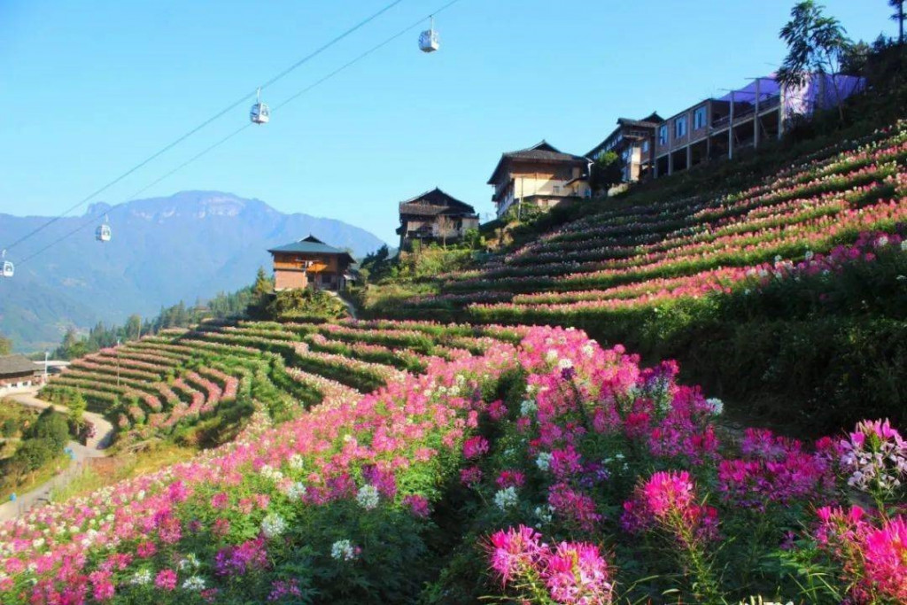 Consortium Beautiful Nanning Guilin | AVIATOUR - Your Travel Solution