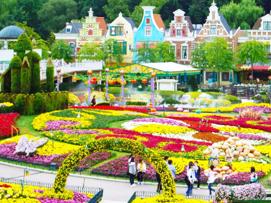 Beautiful Winter Korea Ski & Mt.sorak + Lotte World (bonus Garden Of ...