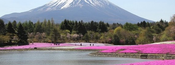 Home | Avia Tour & Travel