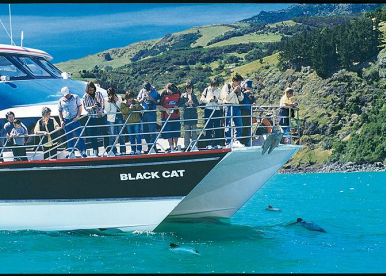 Home | Avia Tour & Travel