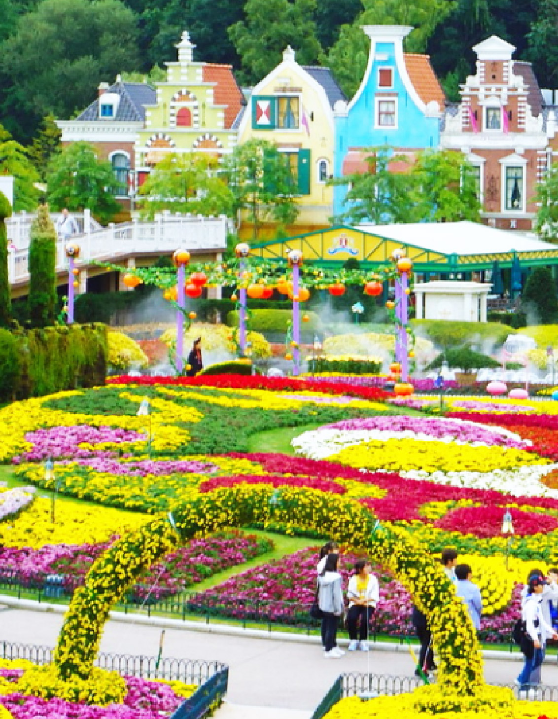 Gday Korea Jeju + Ecoland & Mt. Sorak | AVIATOUR - Your Travel Solution