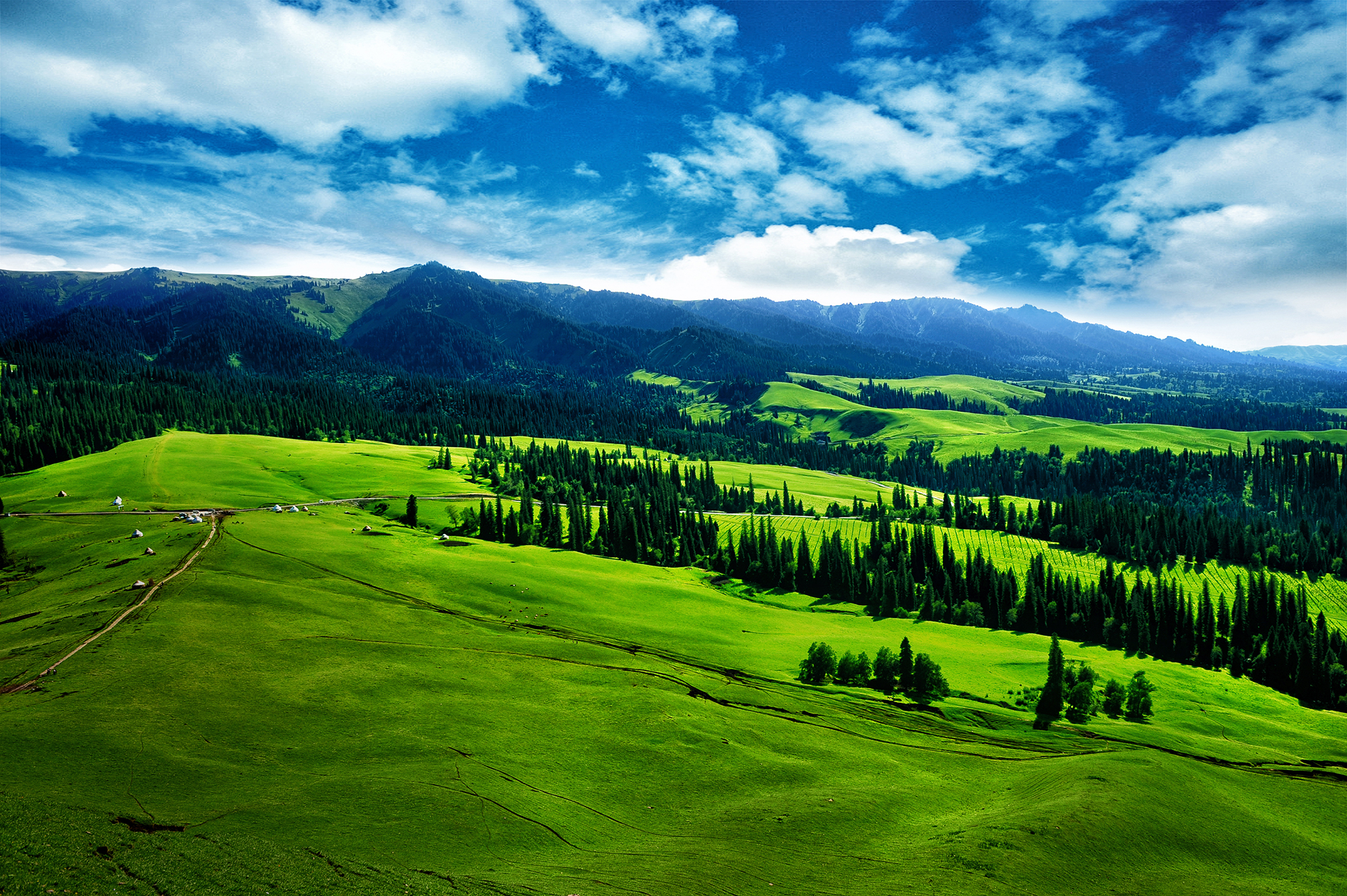 Gday Amazing Northern Xinjiang + Nalati Grassland | AVIATOUR - Your ...