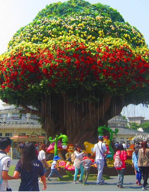 Korea Everland + Mt. Sorak & Eunpyeong Hanok Village | AVIATOUR - Your ...