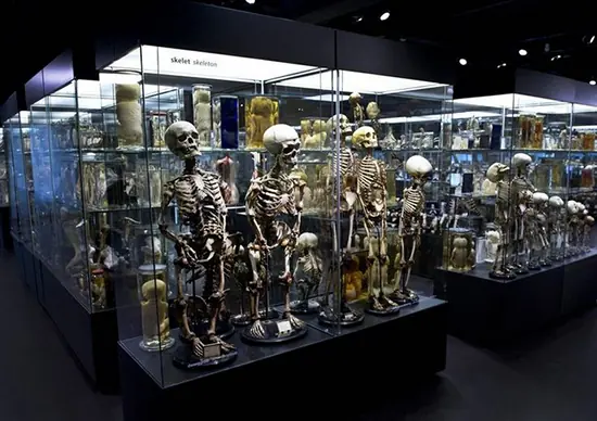 Museum-Museum Unik di Belanda | AVIATOUR - Your Travel Solution